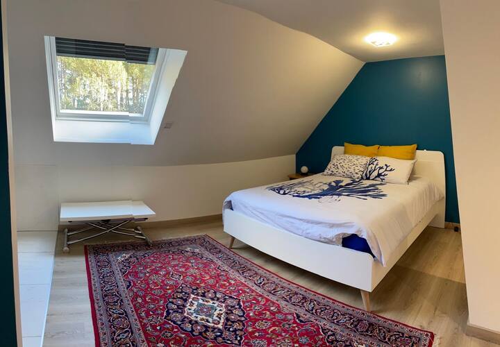 Chambre à Louer - Le Mans