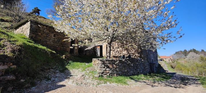 Grand Gîte Nature 10 Pers • Domaine Privé 65ha - Mont Mézenc