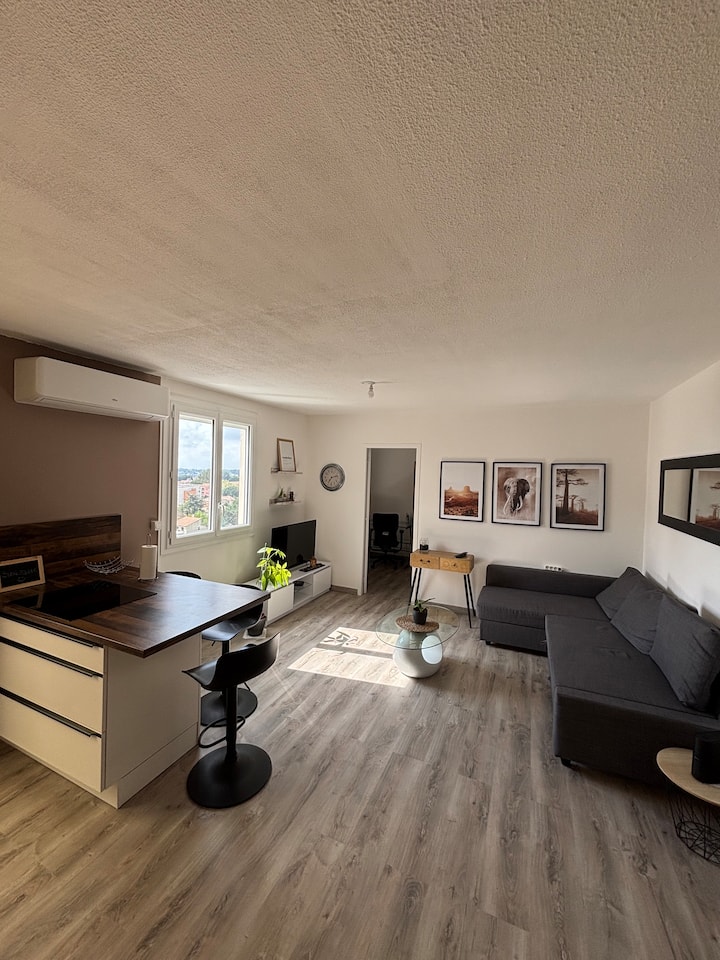 Appart 2 Chambres Et Loggia - Montpellier