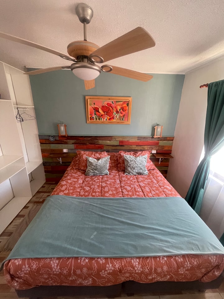 Departamento Elquino C - Vicuña