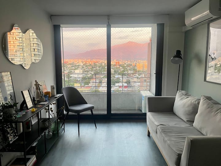 Vista A La Cordillera Y A Pasos De Barrio Italia - Santiago