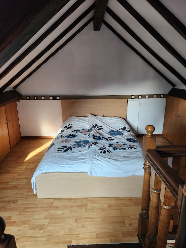 Charmant Duplex Authentique - Mandelbachtal