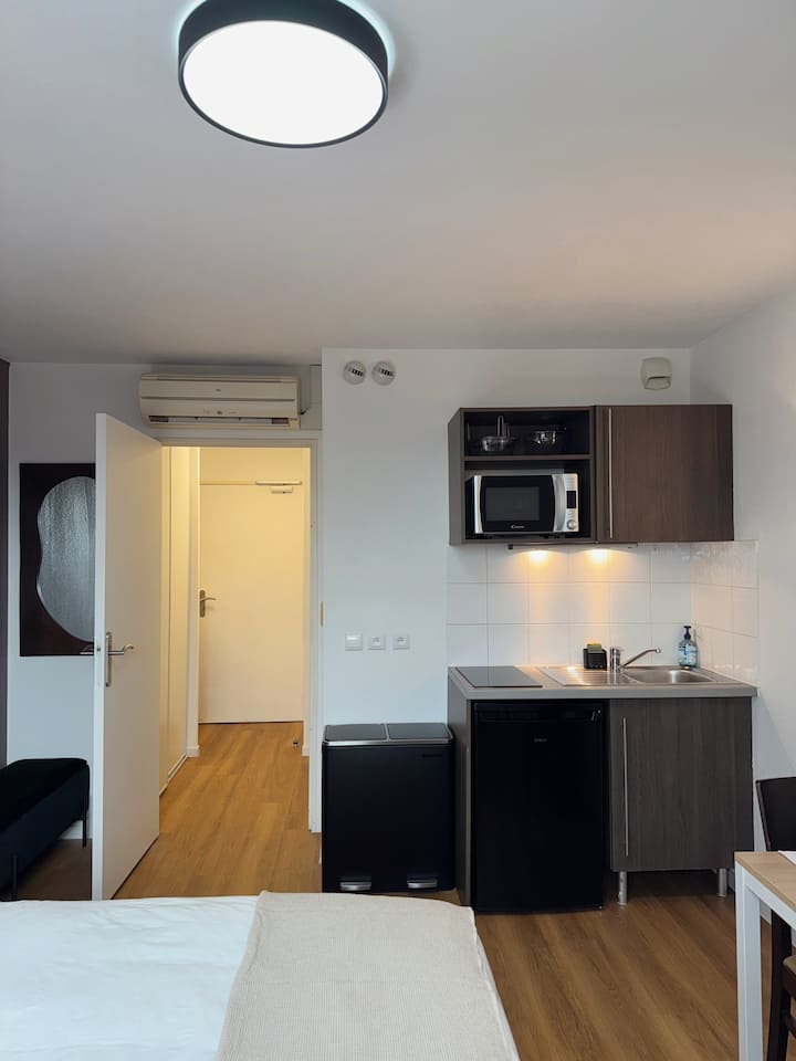 Appartement Avec Parking Aux Portes De Paris - Nogent-sur-Marne