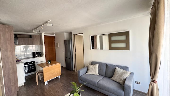 Turistic And Beautiful Apartment On Santiago - Santiago