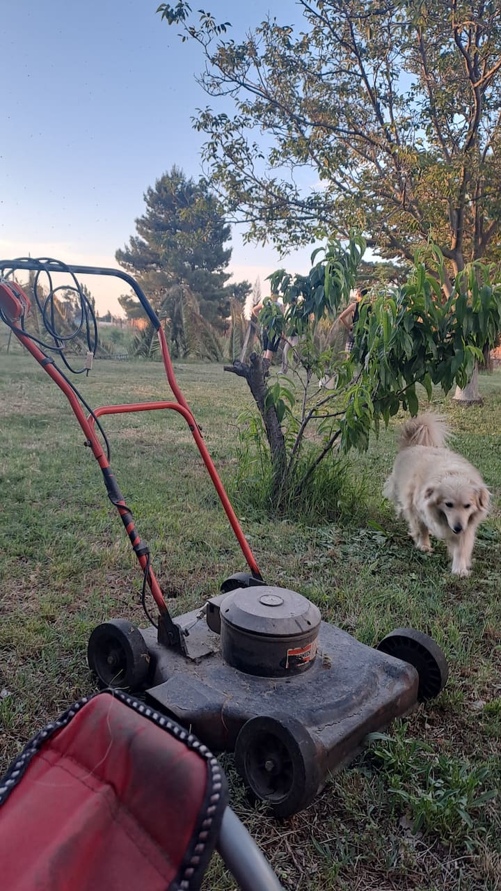 Explorar Y Relajar - Viedma