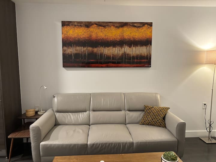Burnaby Metrotown Gym/ac/pool/1skytrain To Fifa - Burnaby