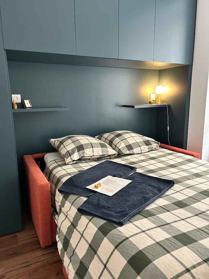 Stylish Room In The Centre Of Strasbourg - Straatsburg