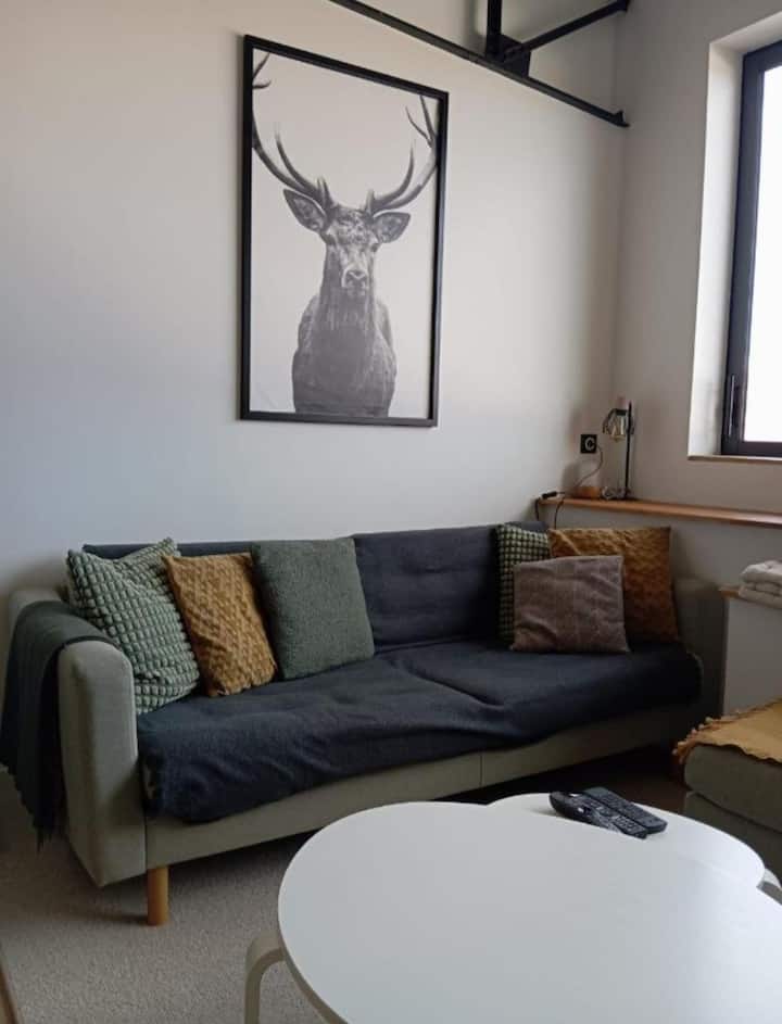 Loft Atypique Pays Basque - Bayonne