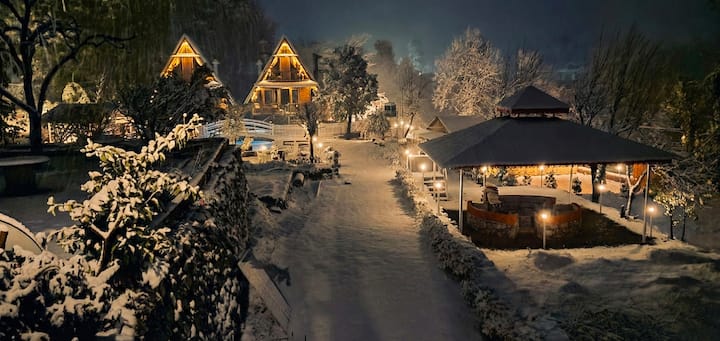 Dreamwoods By Viraasatebir (C-1) - Bir