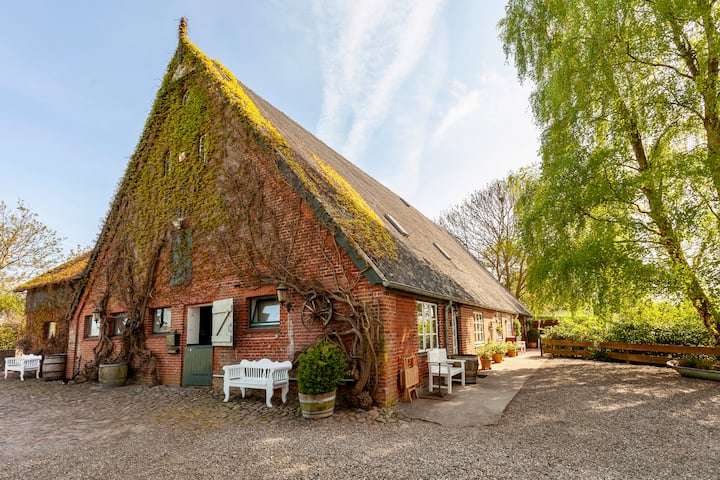 Hof Fetthörn / Ferienzimmer Muschel - Panker
