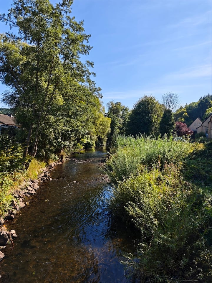 Waldoase/eifel/4 Gäste/balkon/terrasse/2 Hunde - Schleiden