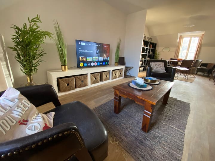 Appartement Avec Vue Sur Canaux - Montargis