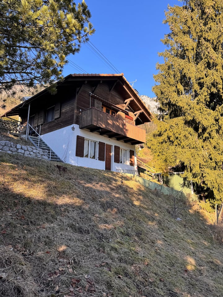 Gemütliches Alpen-chalet - Switzerland