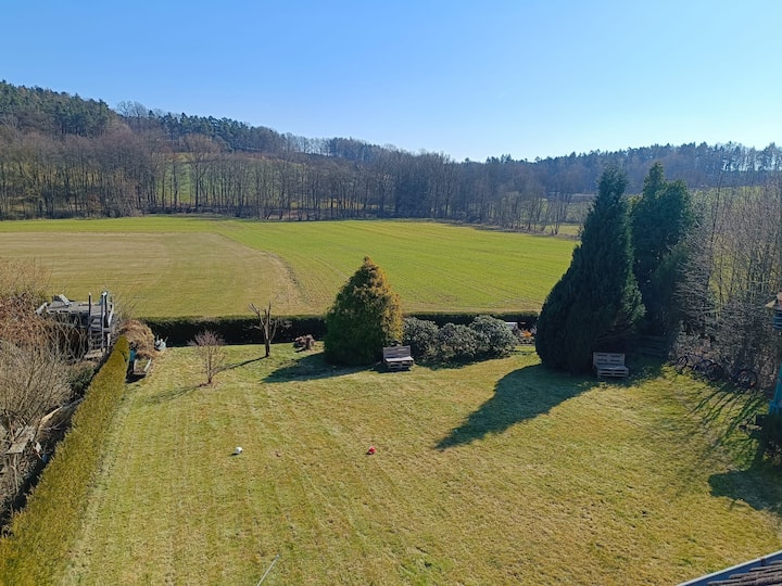 Blick Ins Grüne - Bayreuth