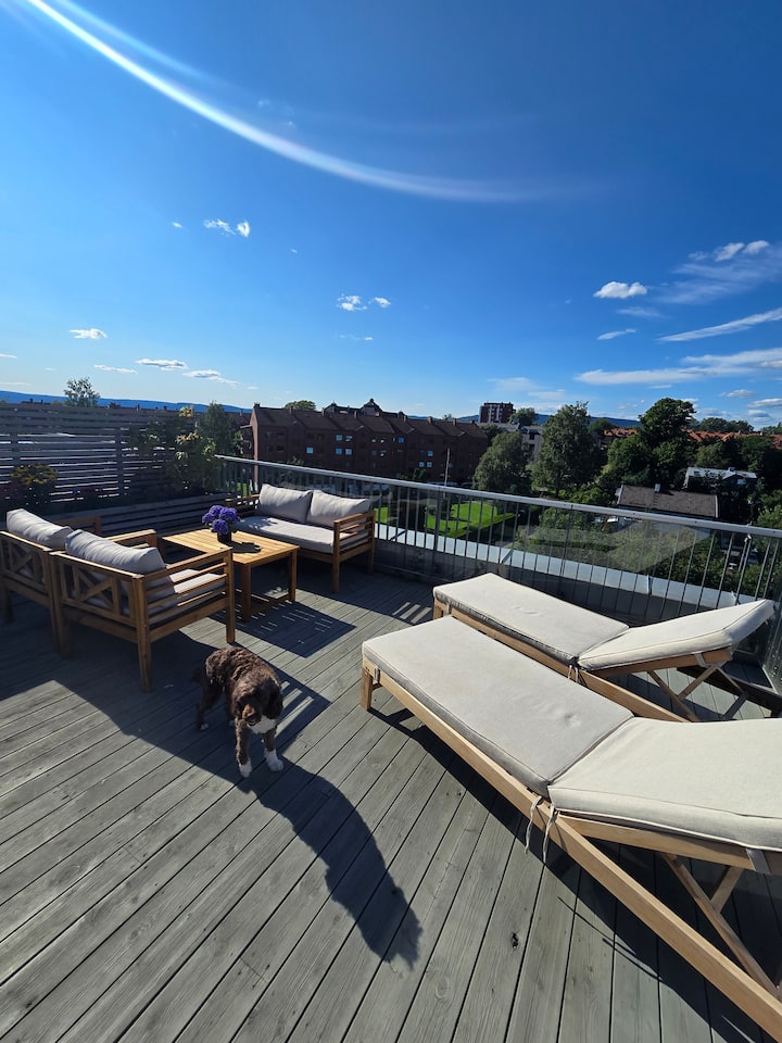 Sentral Toppleilighet Med Privat Takterrasse - Oslo