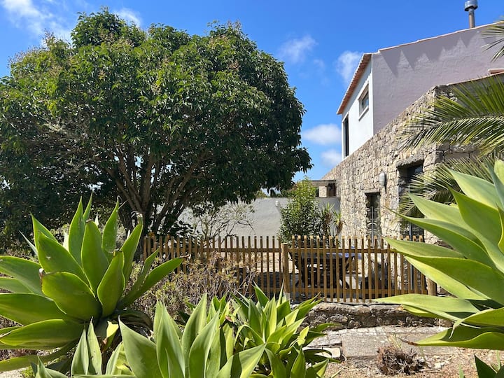 The Grandson´s House - Sintra