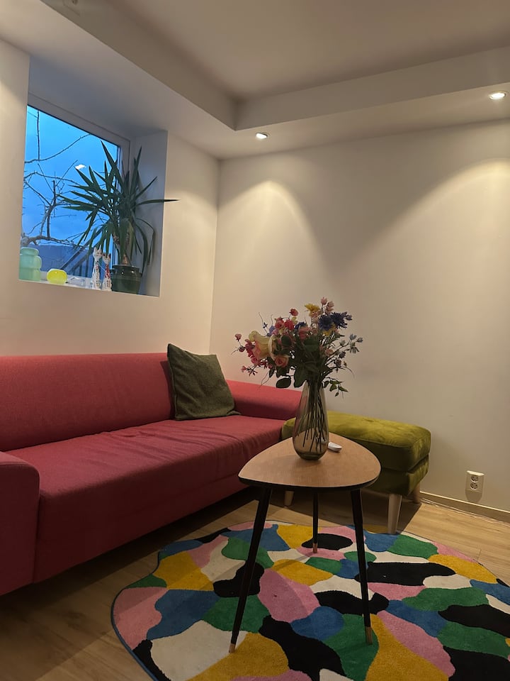 Sentral Leilighet - Bergen