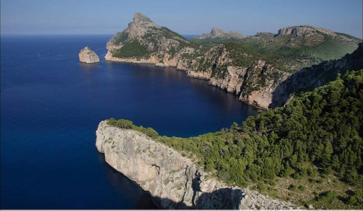 Check-in Desde 08:00 Centro Palma Mallorca Aire A. - Palma