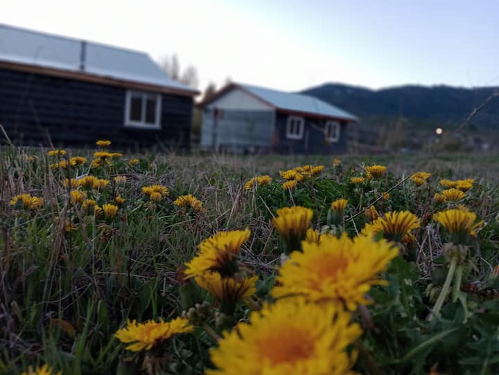 Cabañas Aliwen Lonquimay - Lonquimay