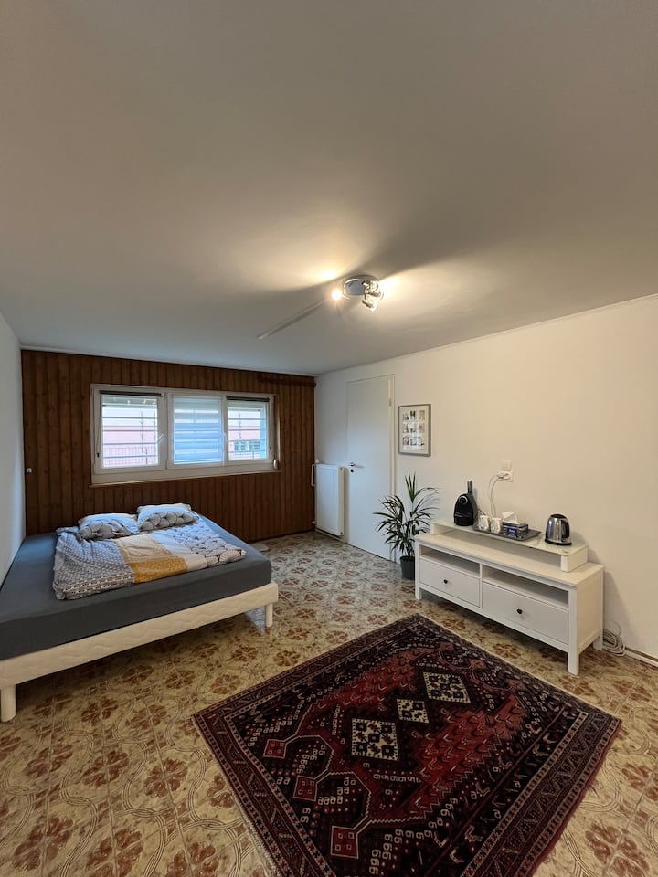 Cozy Room With Winter Garden - 5 Min From Basel - Basel