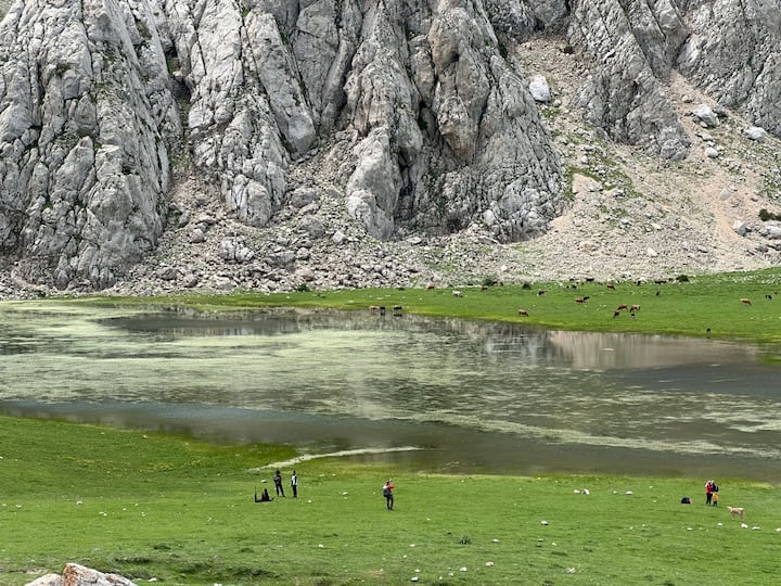 Résidence Djurdjura - Algeria