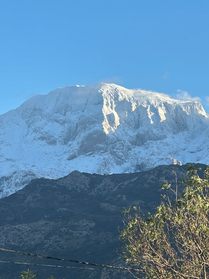 Résidence Djurdjura - Algérie