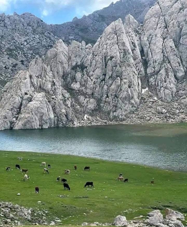 Résidence Djurdjura - Algérie