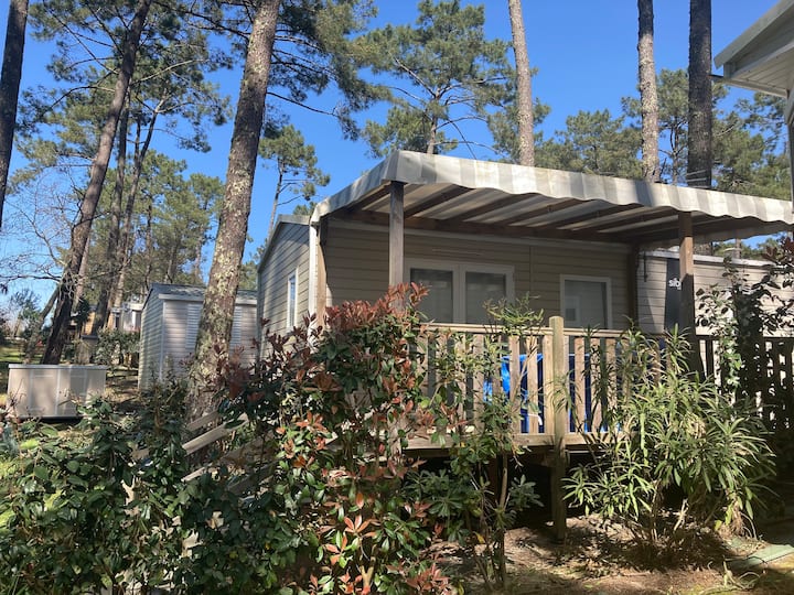 Mh Tout Confort Vue Forêt Mer à 5 Kms, Chien Oui - Landes