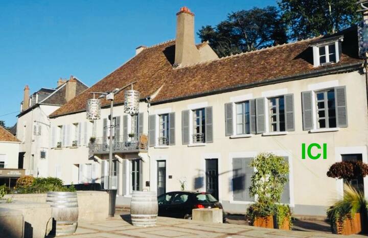 Magnifique Gîte Rénové Plein Cœur De Sancerre - Sancerre