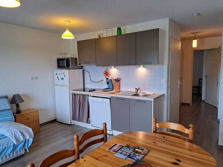 Appartement En Front De Mer - Parking Et Terrasse - Biscarrosse