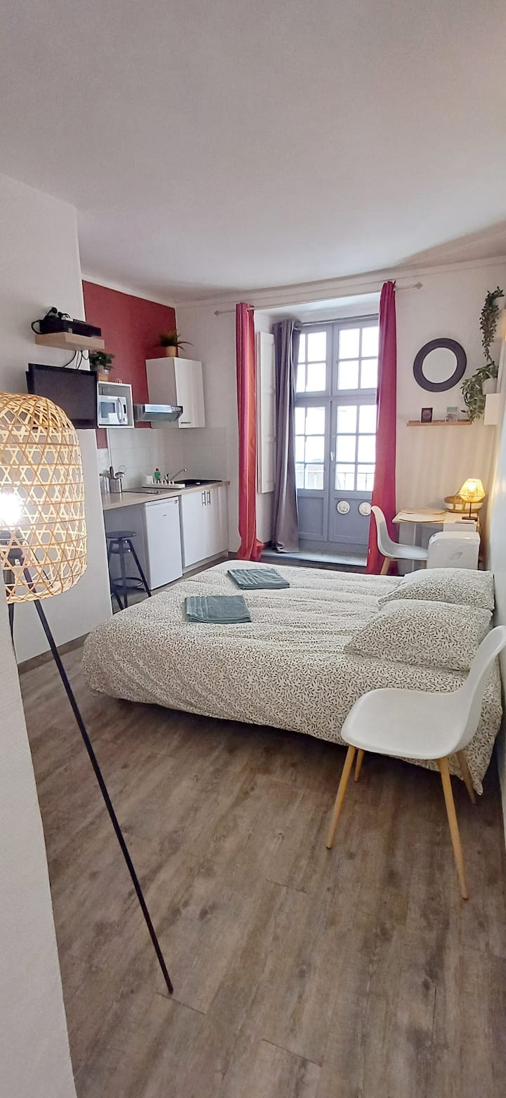 Maison Carrée-coquet Studio Au Cœur De Nîmes. - Nîmes