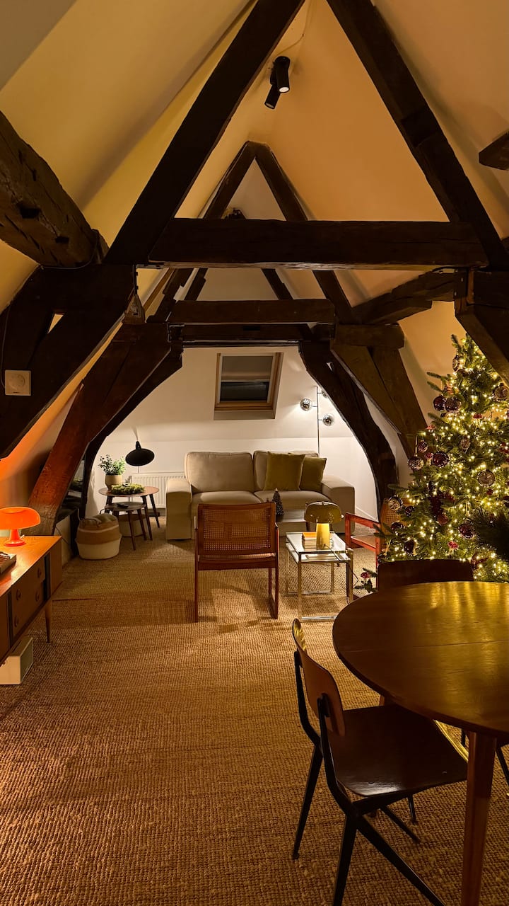 Maison Z.a.k.  Elegant, Centraal  Dakappartement - Antwerp