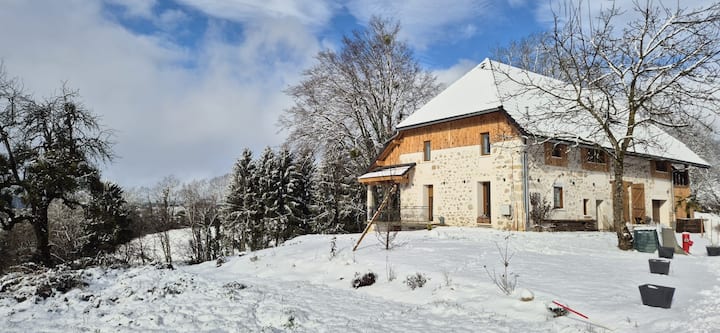 Exceptionnelle Villa 10 Pers Piscine Près D'annecy - Annecy