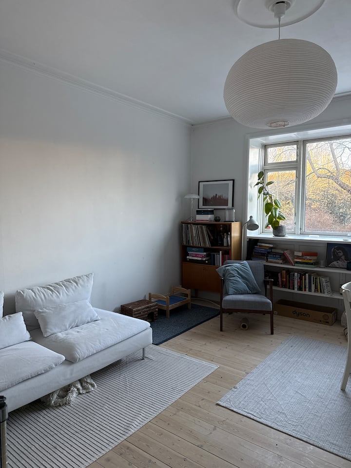 Pænt Værelse I Frederiksberg - Copenhaguen