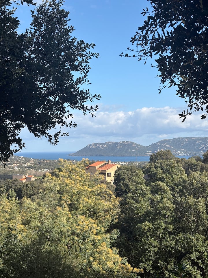 Appartement Avec Piscine - Porto-Vecchio