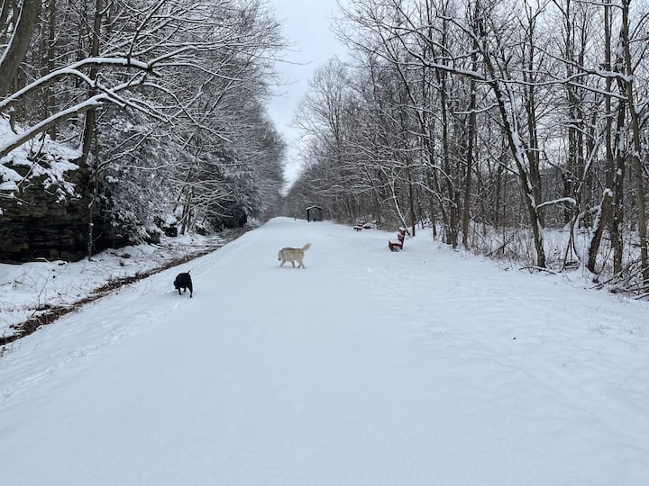 Rockwood Trail House 7 Springs 15 Miles +15% Off - Seven Springs, PA