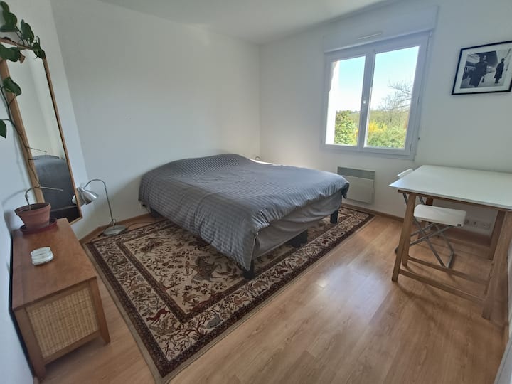 Location Chambre - Chalonnes-sur-Loire