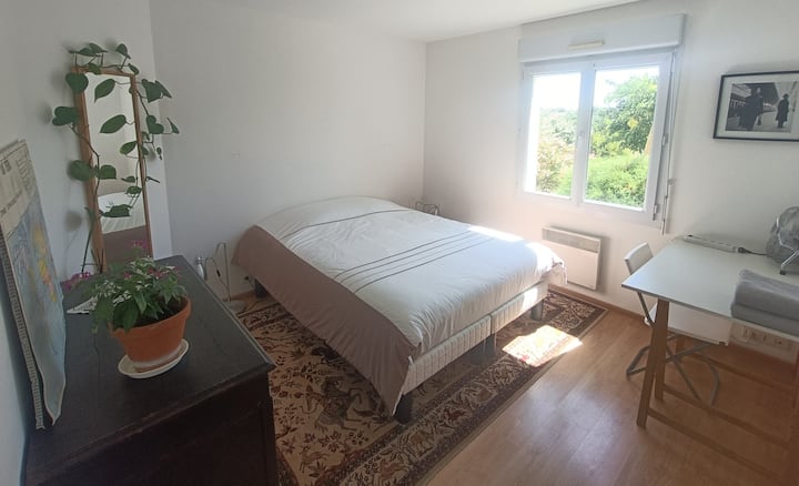 Location Chambre - Chalonnes-sur-Loire