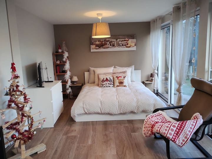 Lumineux Studio "Le Cocon De Théo" à Rosheim - Rosheim