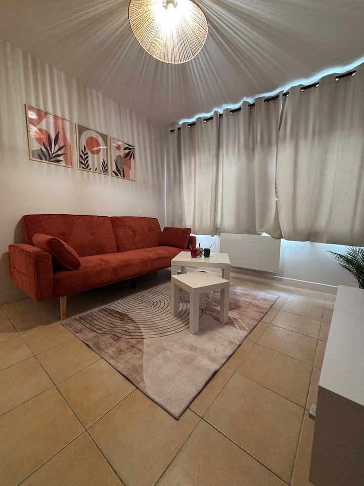 Le Joli Petit Bannier T2 Neuf + Fibre - Orleans