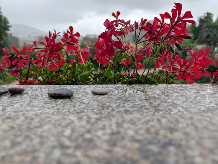 3house:  Sol Na Eira (Paredes, Porto) - Paços de Ferreira