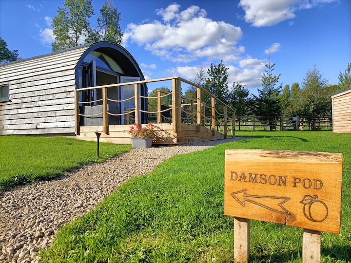 Sweet & Dreamy Damson Pod  -  3trees Glamping - Matlock