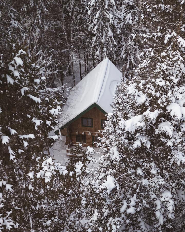 Bois Rond • Forêt Privée • 8 Min Tremblant - Mont-Tremblant
