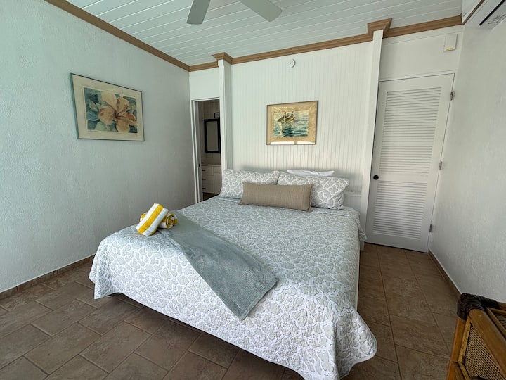 East End Sanctuary - 1br Executive Pool Suite - Saint John