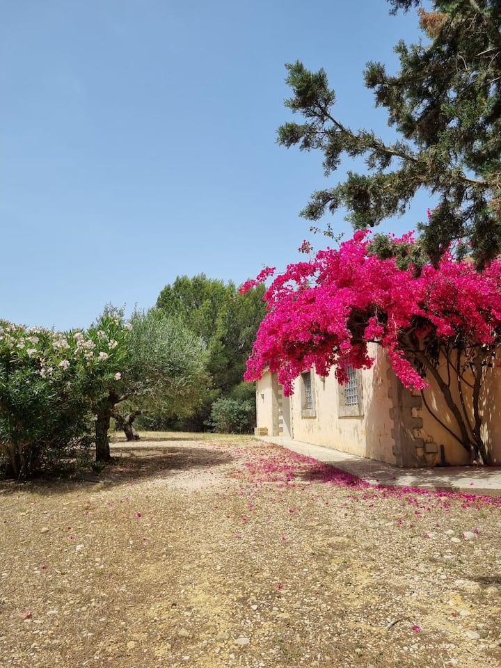 Casa Cuci-cuci - Ribera