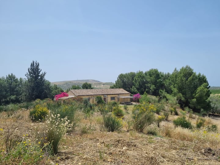 Casa Cuci-cuci - Ribera