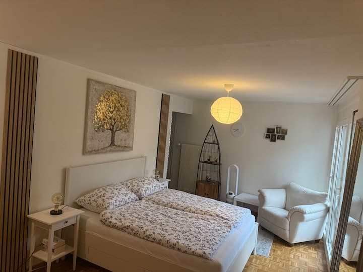 Central & Cozy Apartment In The Heart Of The City - Lucerne