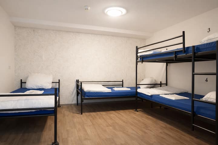 Bed 4- Persons Dorm - Bunk Style- No Window - Alkmaar
