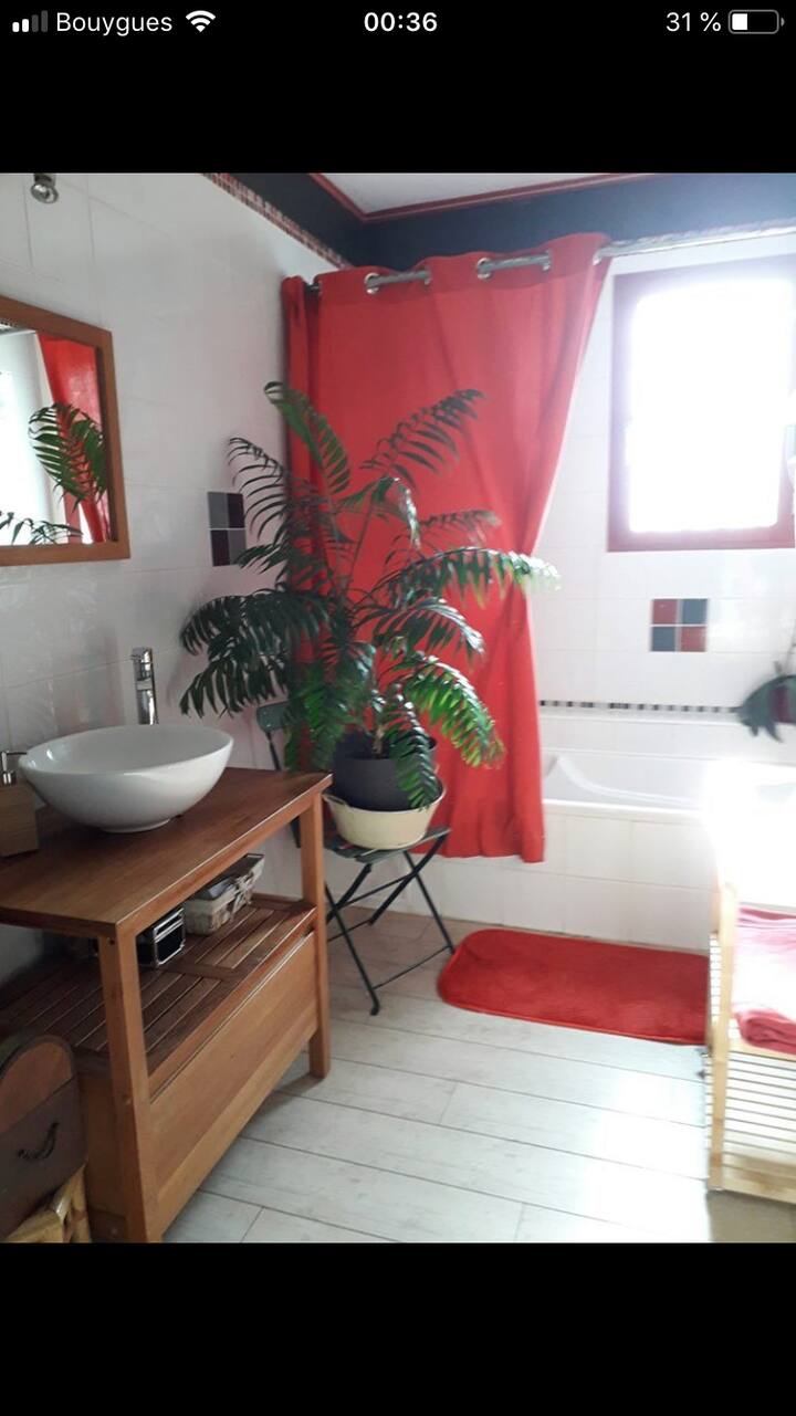 Maison Sologne - Lamotte-Beuvron