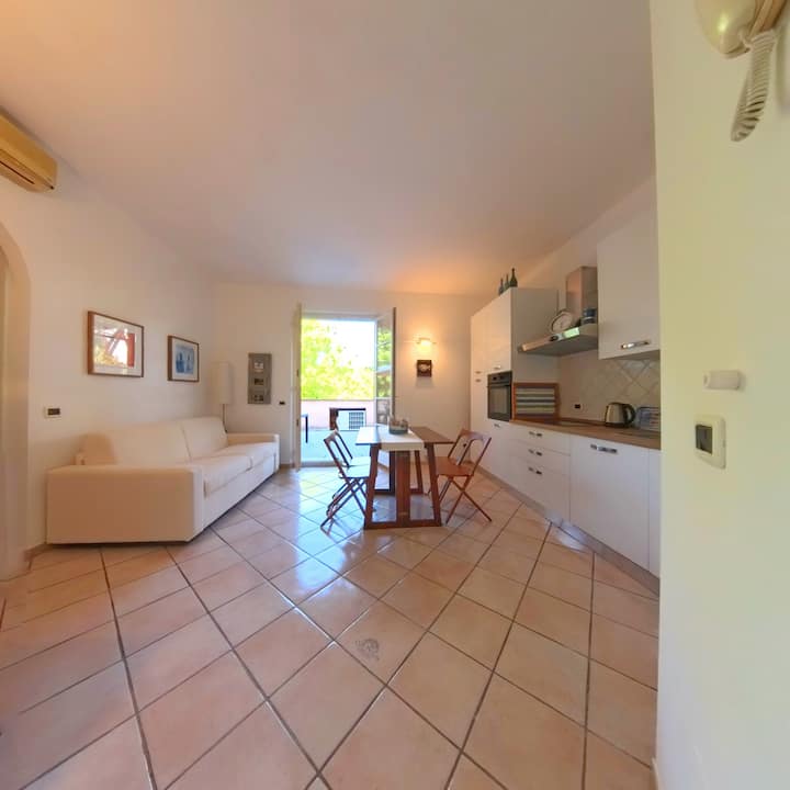 Al's Forte - 福爾泰德伊馬爾米